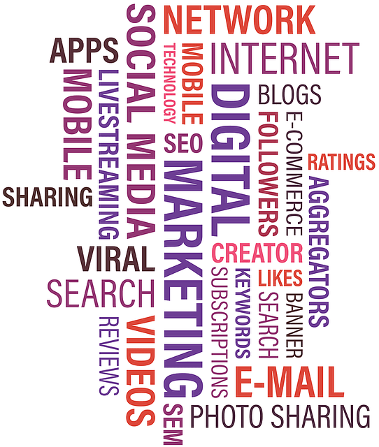 WebNeel Solutions | Best web design development company India